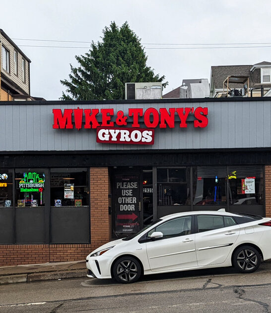 homey diner pennsylvania gyros ftr