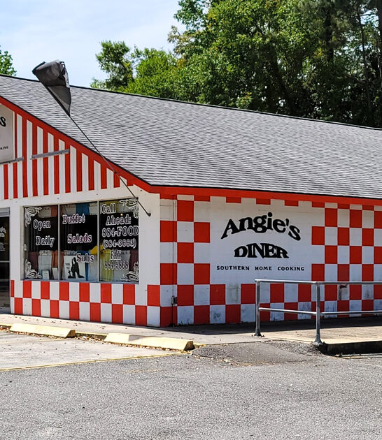 homey diners georgia ftr