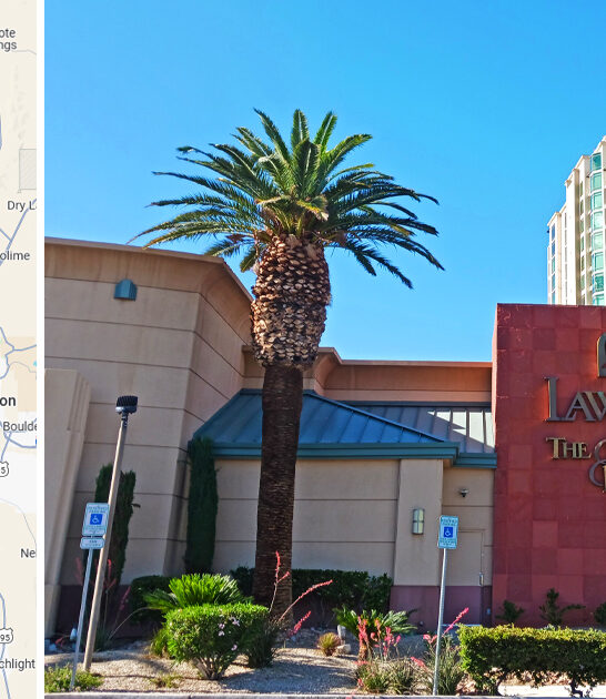 homey rib restaurant nevada ftr