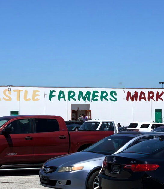 huge delaware flea market ftr