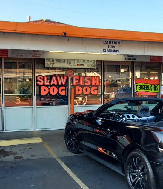 iconic hot dog indiana ftr