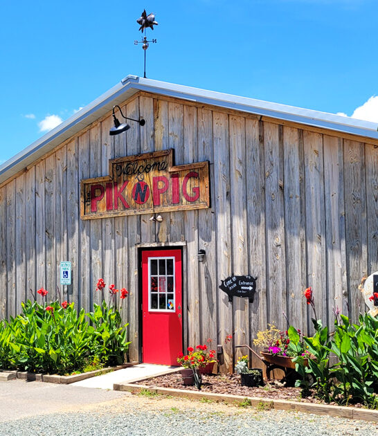 iconic north carolina bbq ftr