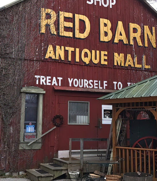 indiana giant thrift store ftr