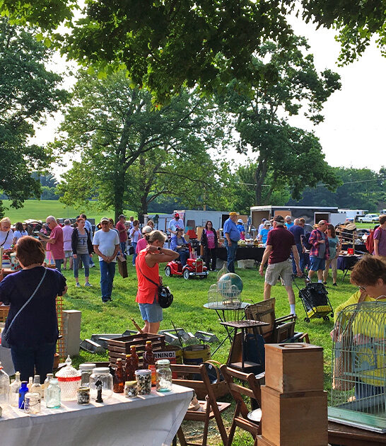 indiana massive bazaars ftr