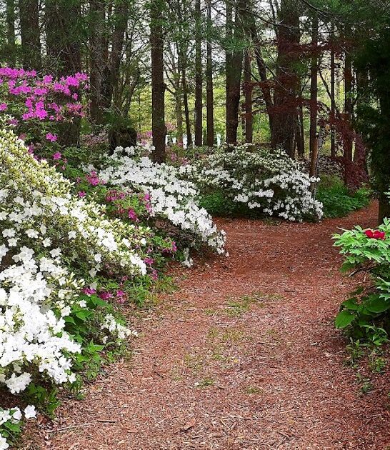 indiana postcard worthy garden ftr