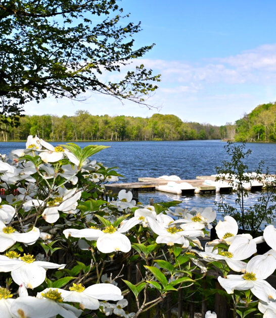 indiana underrated state park ftr
