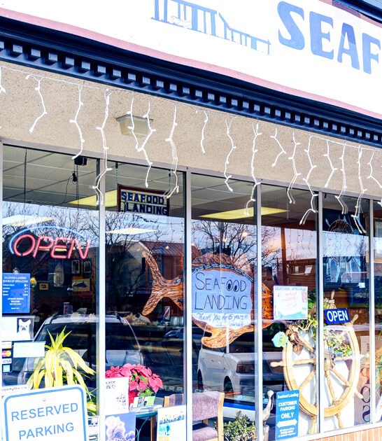 insane ahi tuna colorado ftr