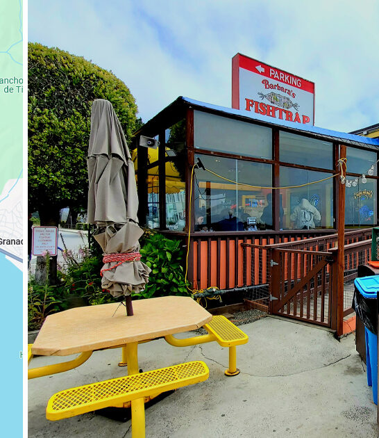 insane crab cakes california ftr