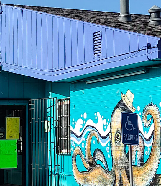 kansas fried snapper restaurant ftr