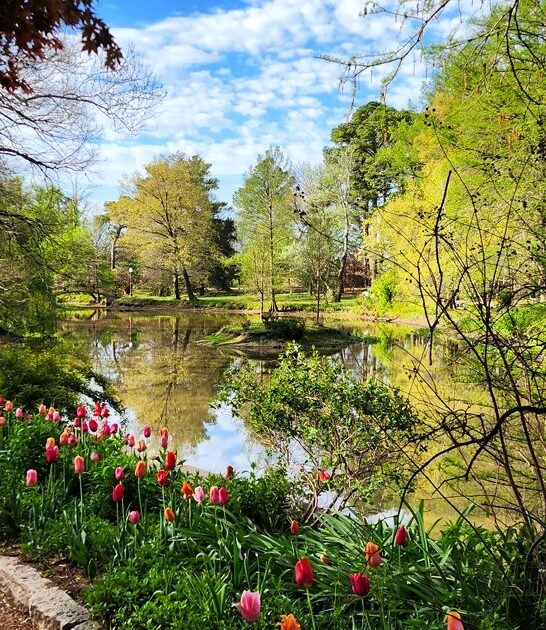 kansas postcard worthy arboretum ftr