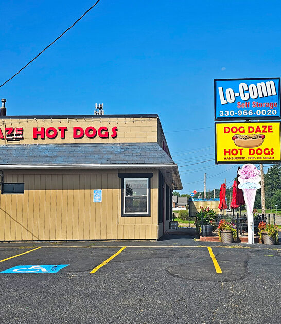 local hotdog joints ohio ftr