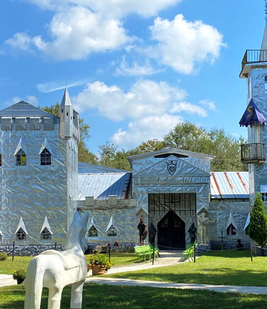 magical florida castle ftr