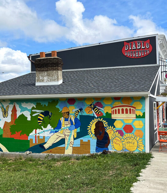 maryland best apple fritters ftr