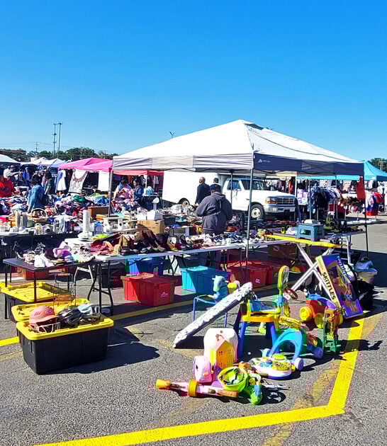 maryland hunt bargains ftr