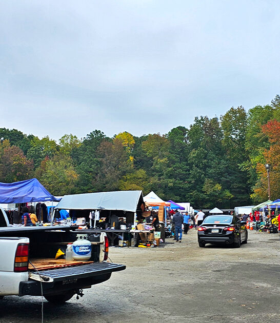 massive bazaars georgia bargain ftr