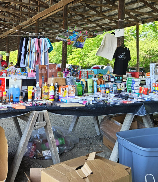 massive bazaars virginia ftr