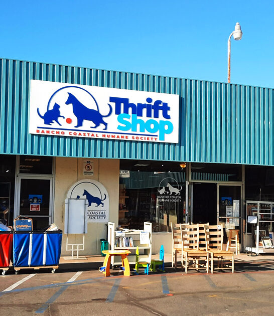 massive california secondhand stores ftr