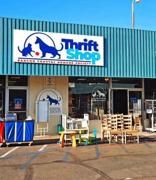 massive california store thrift ftr