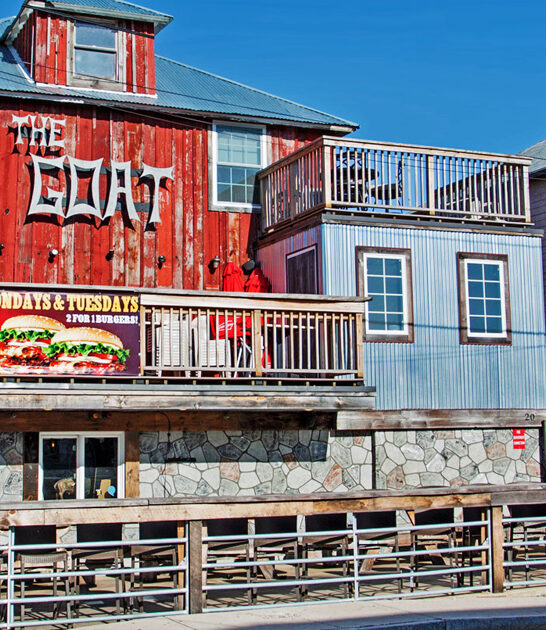 massive cheeseburger new hampshire ftr