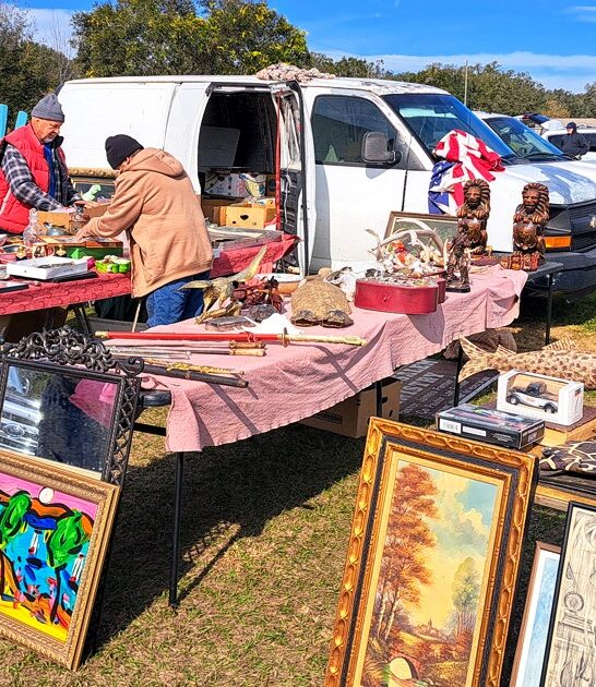 massive flea florida treasures ftr