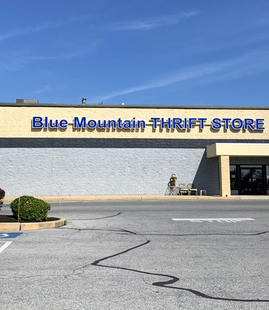 massive secondhand stores pennsylvania ftr