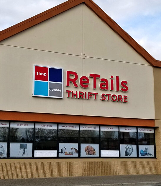 massive thrift washington store ftr