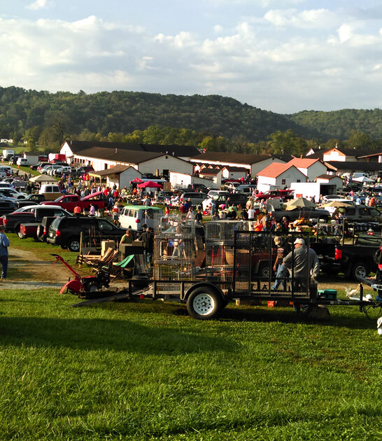 massive treasures market indiana ftr