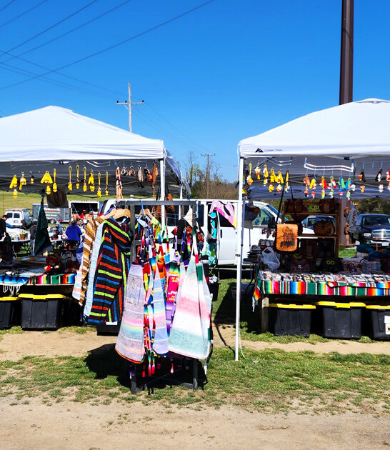 massive virginia bazaars ftr