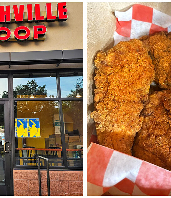 minnesota delicious fried chicken ftr