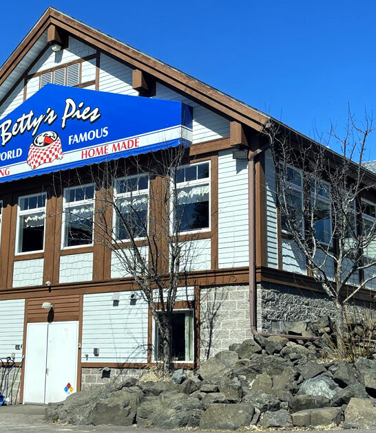 minnesota delicious homemade pies ftr