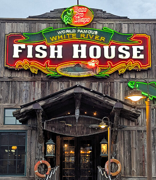 missouri fried fish ftr