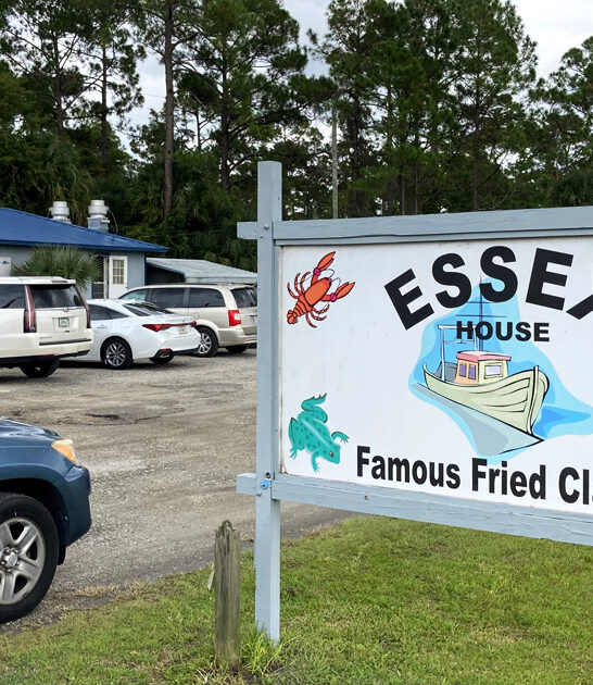 mouth watering clams florida ftr
