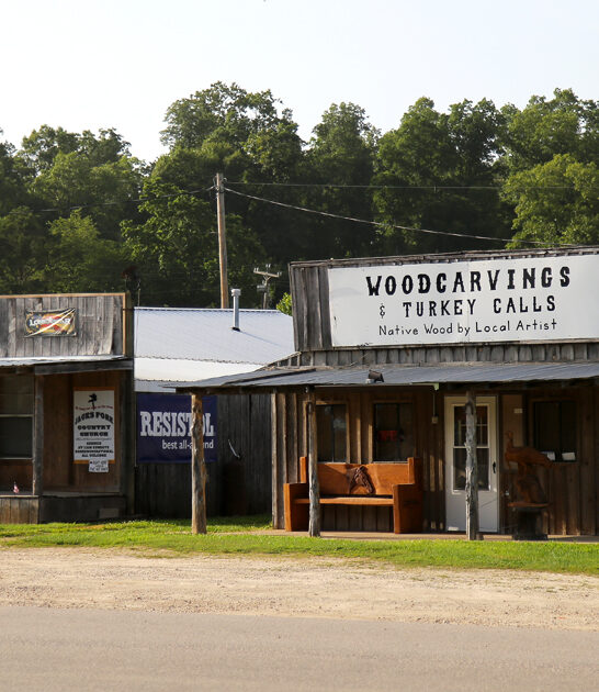 nature lovers town missouri ftr