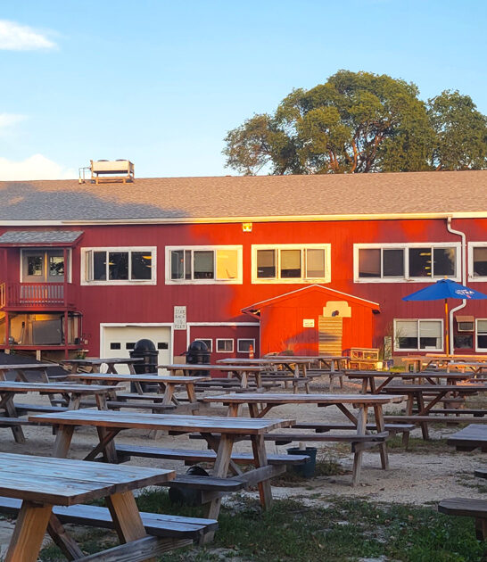 new hampshire seafood places ftr