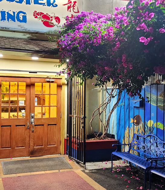 no frills lobster honolulu hi ftr