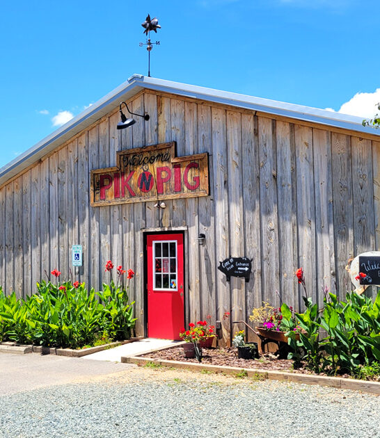 north carolina best brisket ftr