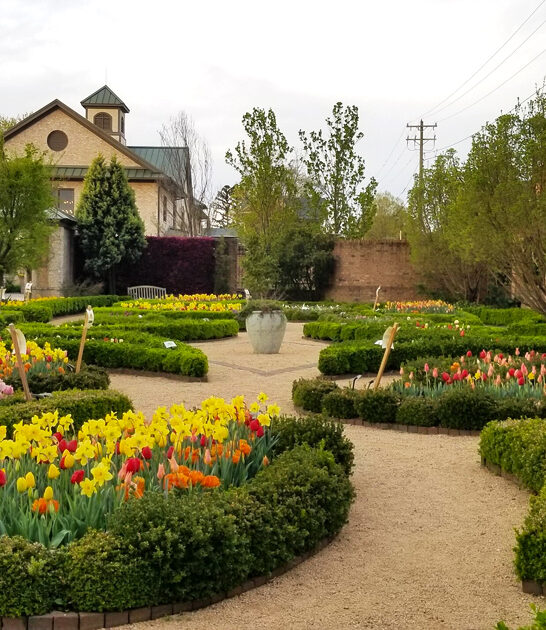 north carolina botanical garden ftr