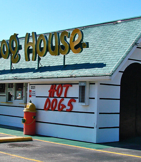 north carolina dog hot ftr