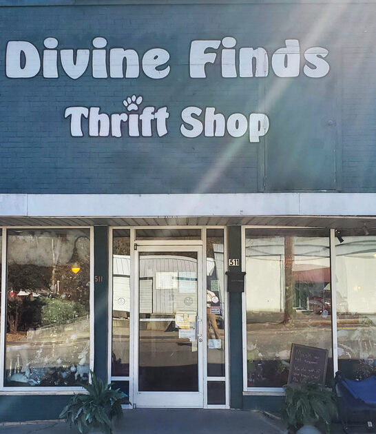 north carolina thrift store ftr