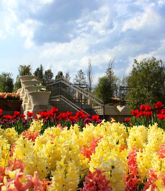 oklahoma postcard botanical garden ftr