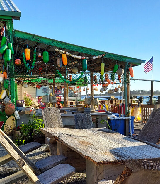 oregon oysters legendary restaurant ftr