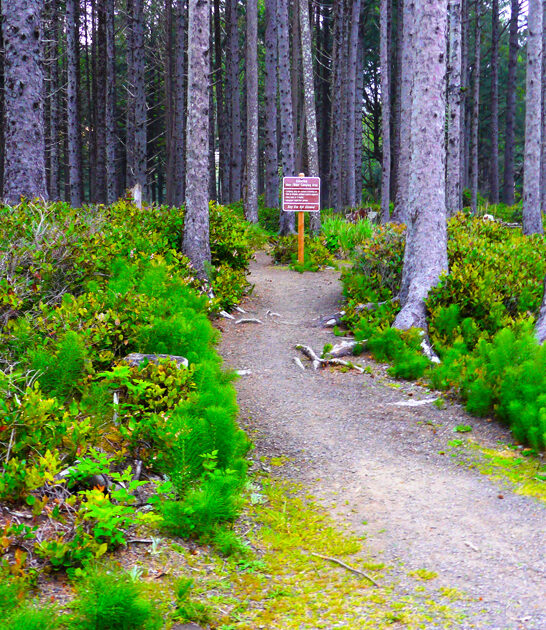 oregon underrated state park ftr