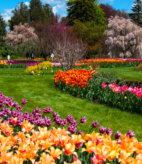 pennsylvania dreamy botanical garden ftr