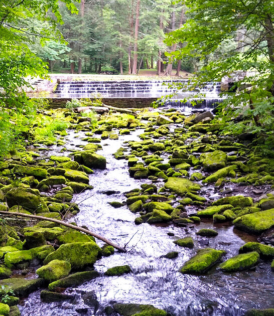 pennsylvania underrated state park ftr