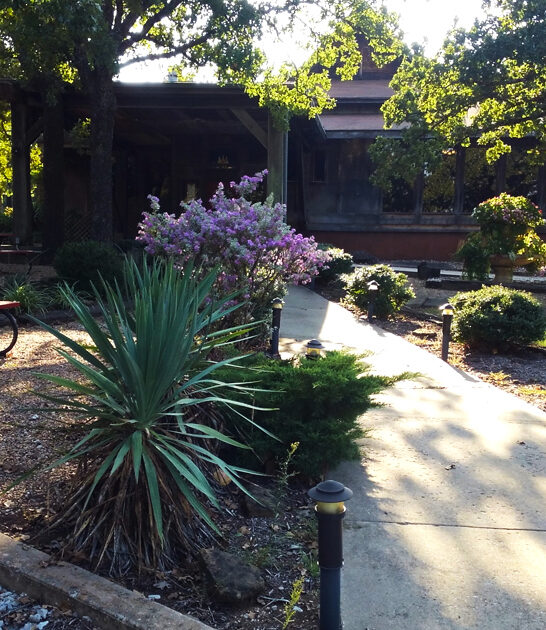 prime rib oklahoma spring ftr