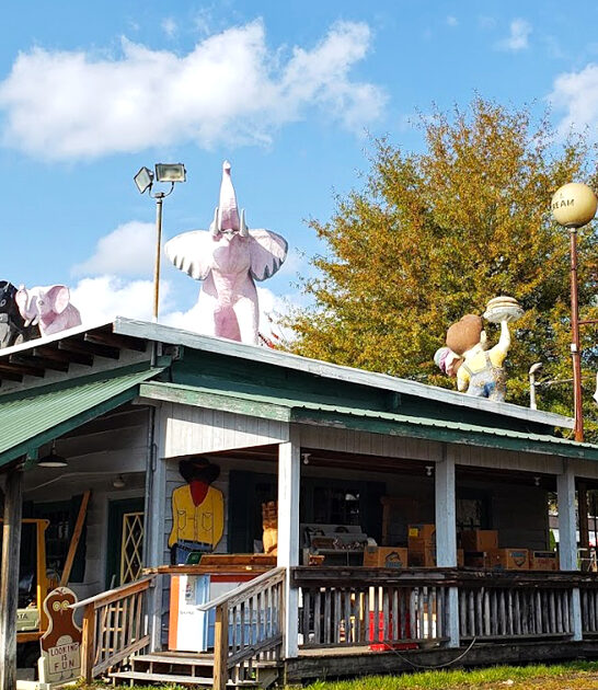 quirky restaurant north carolina ftr