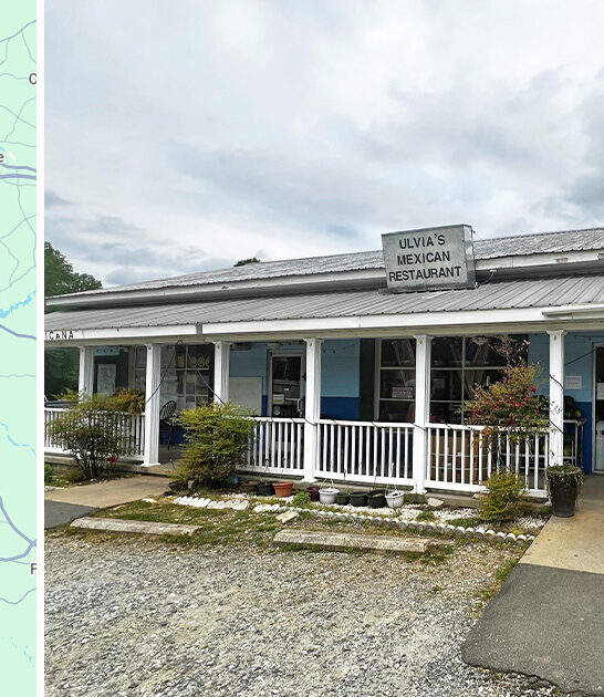 restaurant north carolina quesadillas ftr