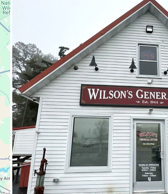 sandwiches delaware general store ftr