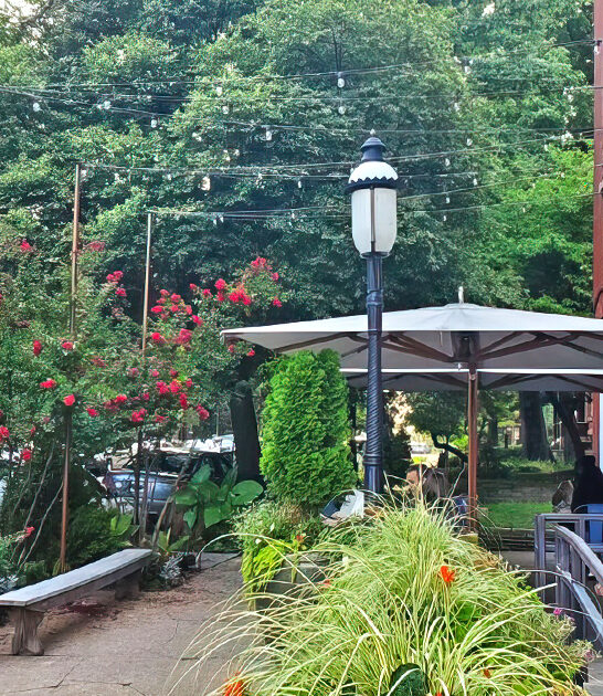 serve best lobster missouri ftr