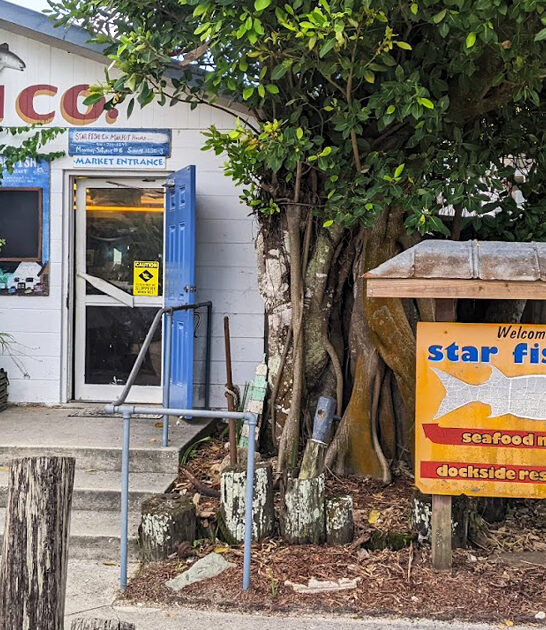 small seafood restaurant florida ftr